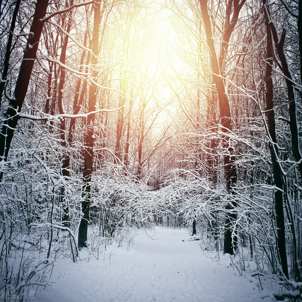The warm sun in winter - iNEWS