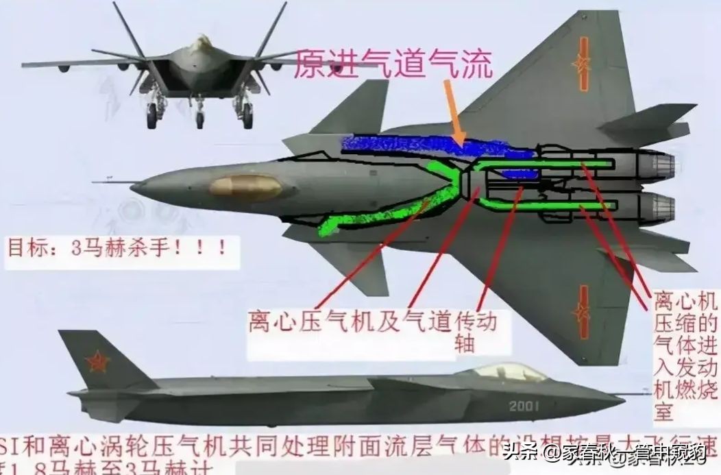 Looking at the Leopard in the Tube-Analysis of the Adaptive Cycle ...