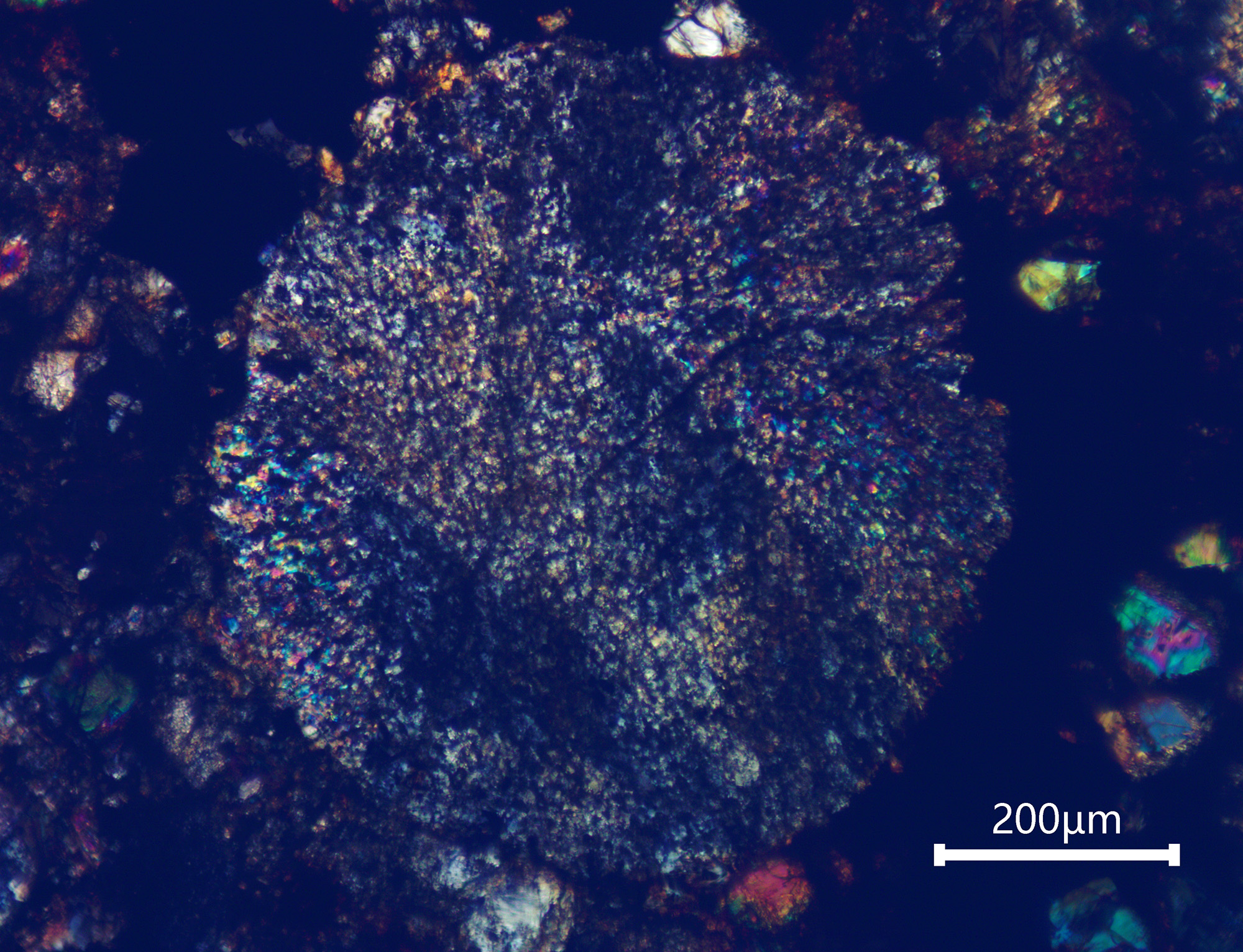 Several perfect chondrites in ordinary chondrite H3 (NWA unnamed) - iNEWS