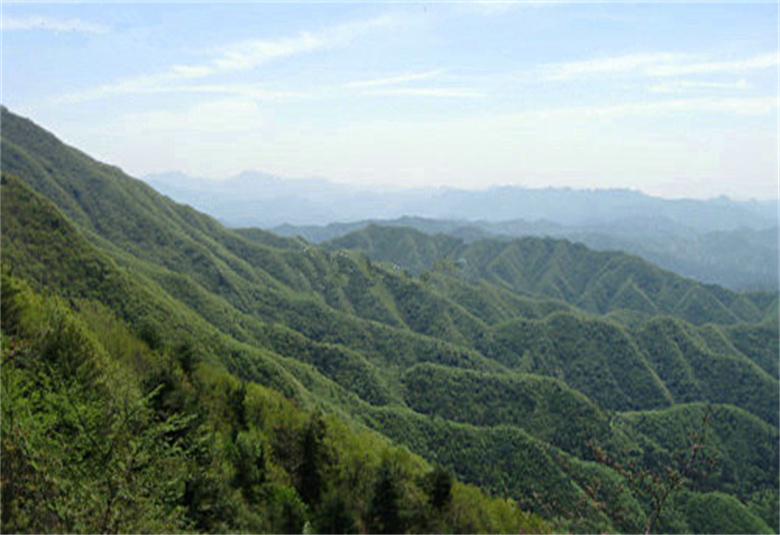 There are 9 tourist attractions in Shangzhou District, Shangluo City ...