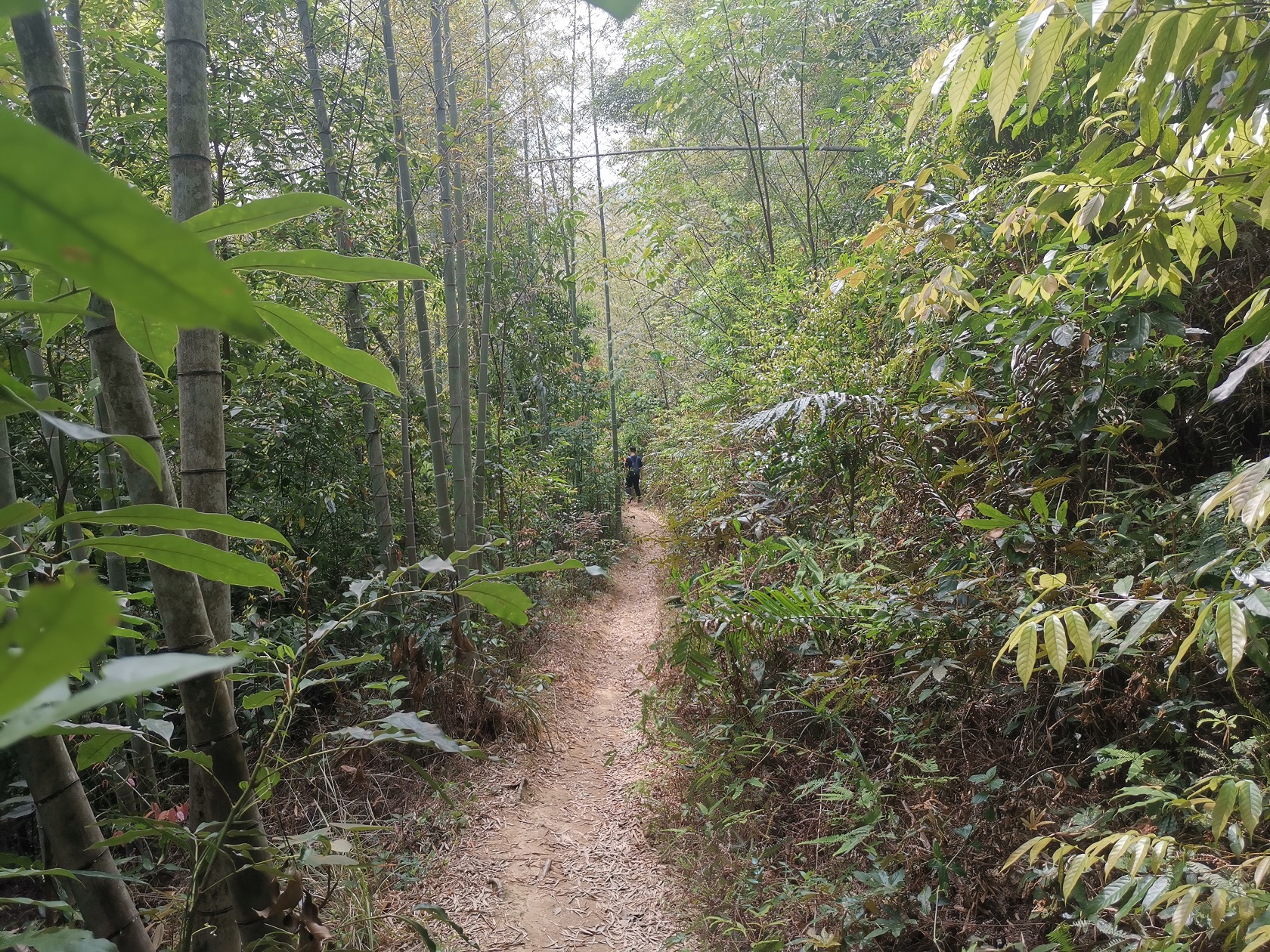 Conghua Xingxi line in-depth planning strategy on foot, large groups ...