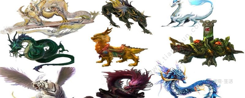 Dragon has nine sons, each has its own merits - iNEWS