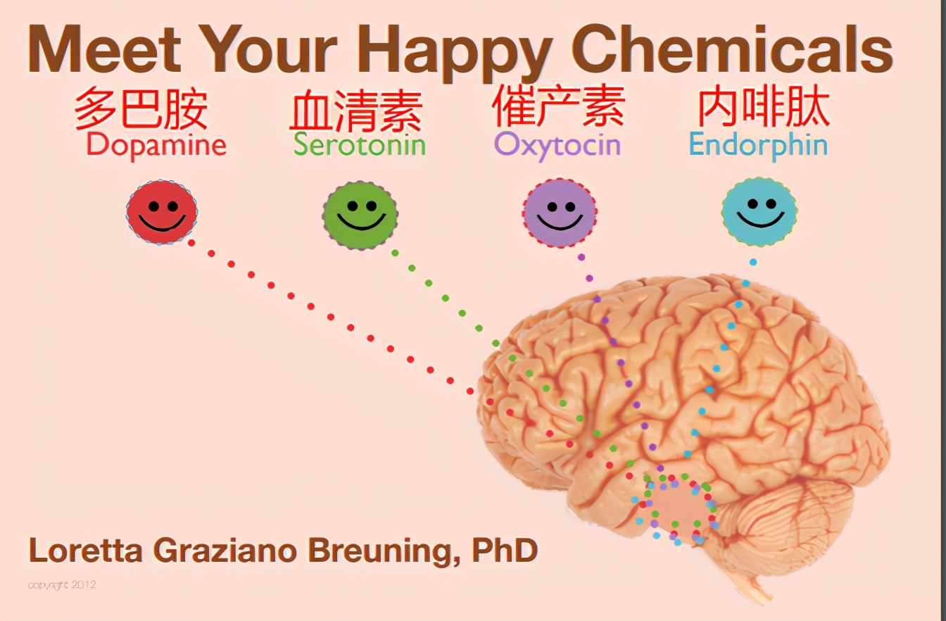 4 kinds of happiness hormones: make you cool, make you addicted, make ...