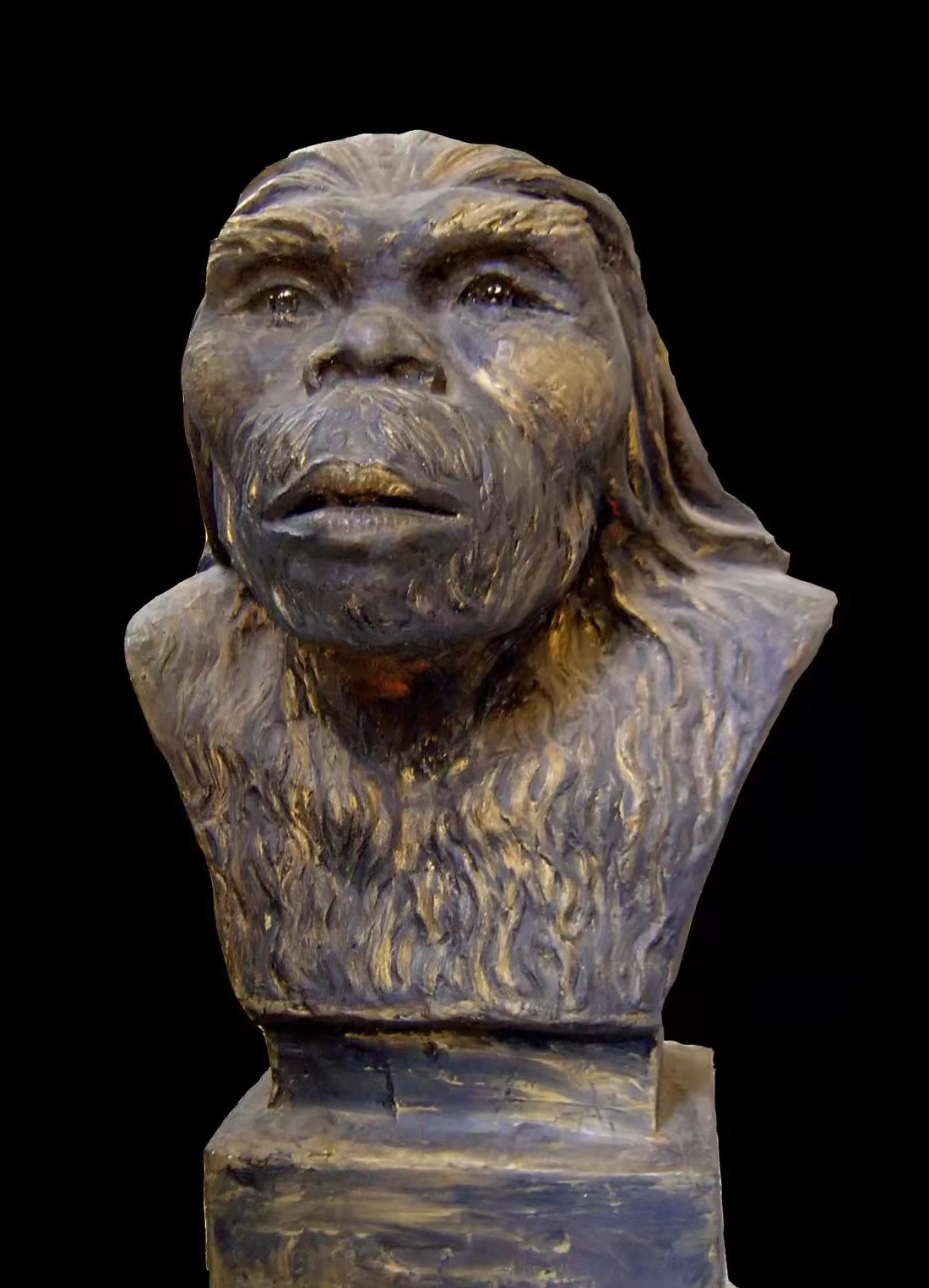 The primitive humans in Yunnan, apart from Yuanmou, you must have never ...