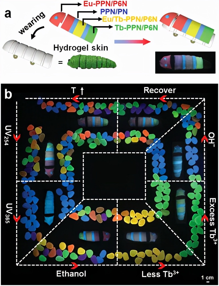 "AFM" Lu Wei/Chen Tao/Zhou Lei: Multi-color switchable bionic soft skin ...