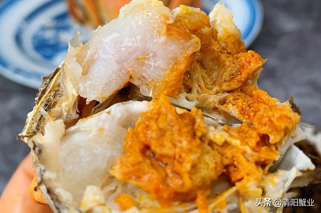 Hairy crabs are divided into male and female, with different flavors ...