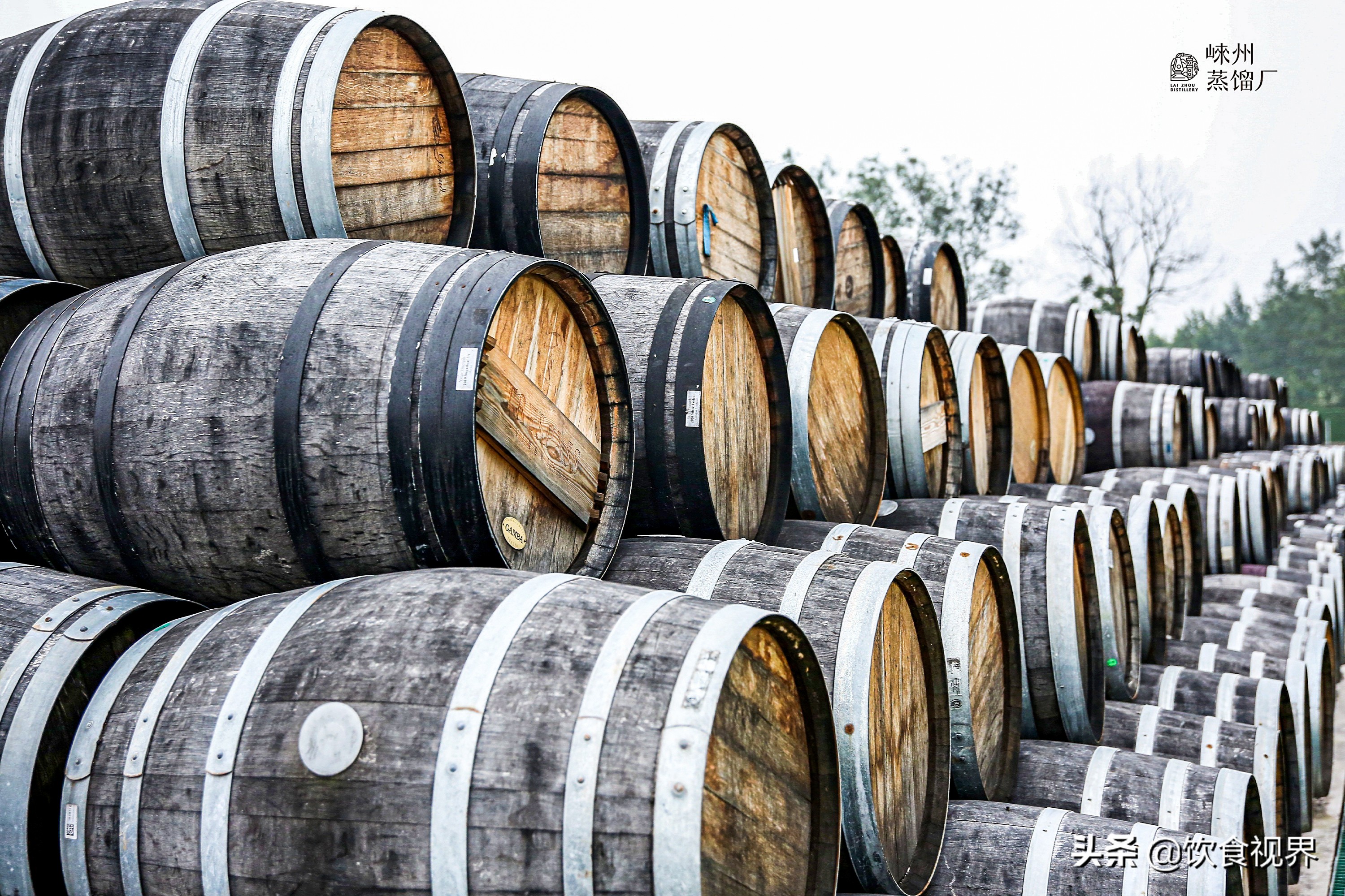 Come and watch!The world's first Laizhou whisky review and the secret ...