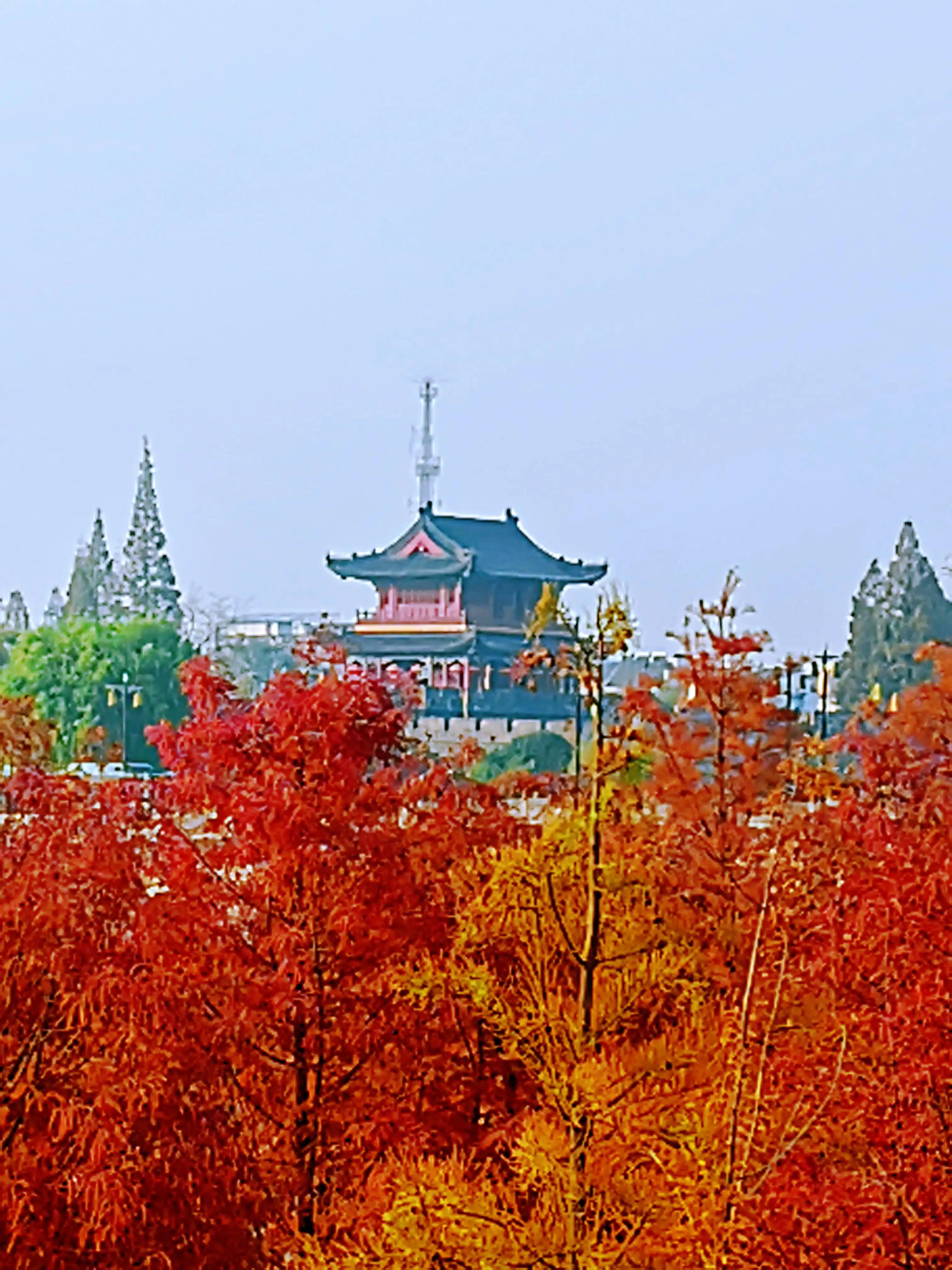 "The Most Cultural Relics in Jingzhou" The earliest leather gloves in ...