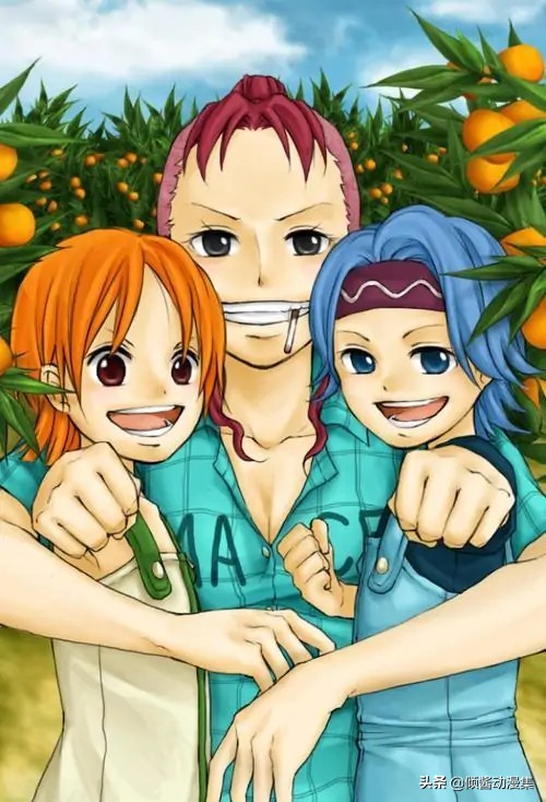One Piece: Cocoyashi Village in the East China Sea, companion and ...
