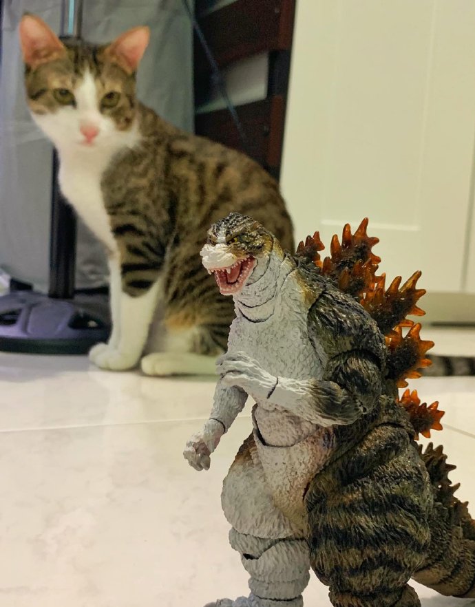 Cute pet cat color matching Godzilla model "Godzilla" - iMedia