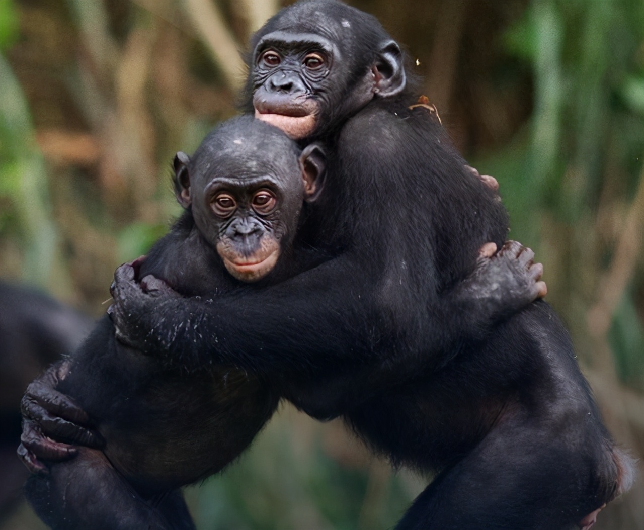 There are no wonders in nature, monogamy in the animal kingdom—seven ...