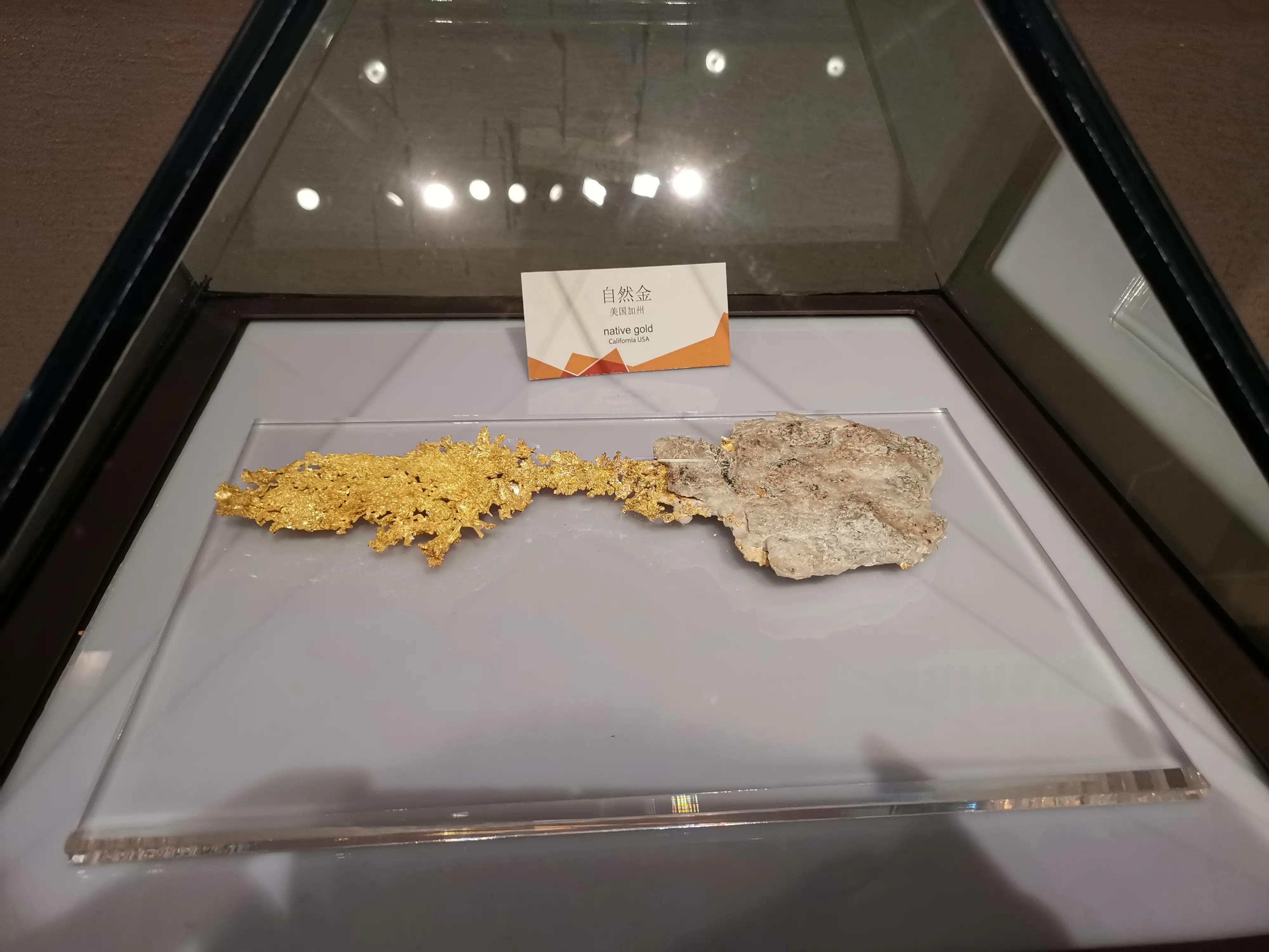 Exhibits of Yantai Natural History Museum - iNEWS