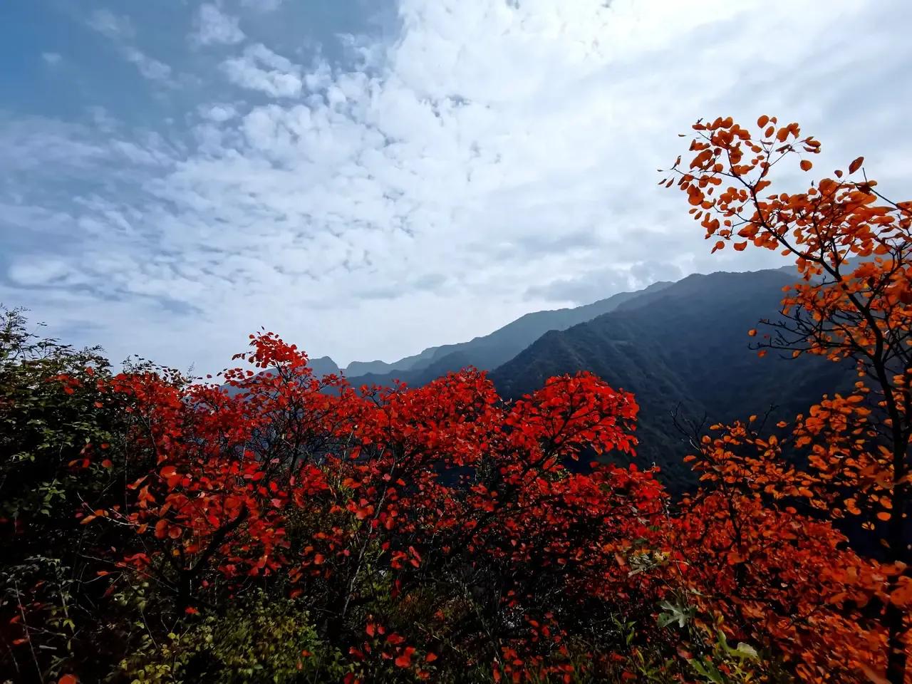 Have you been to Guifeng Mountain on Xi'an Huanshan Road? - iNEWS