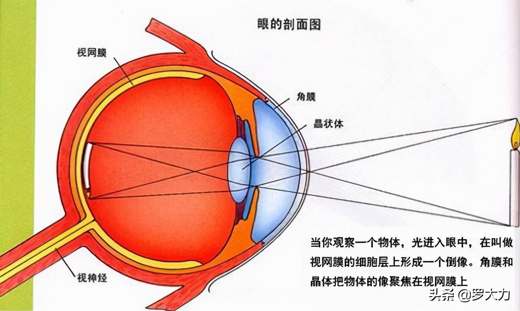 How do human eyes see things? - iNEWS