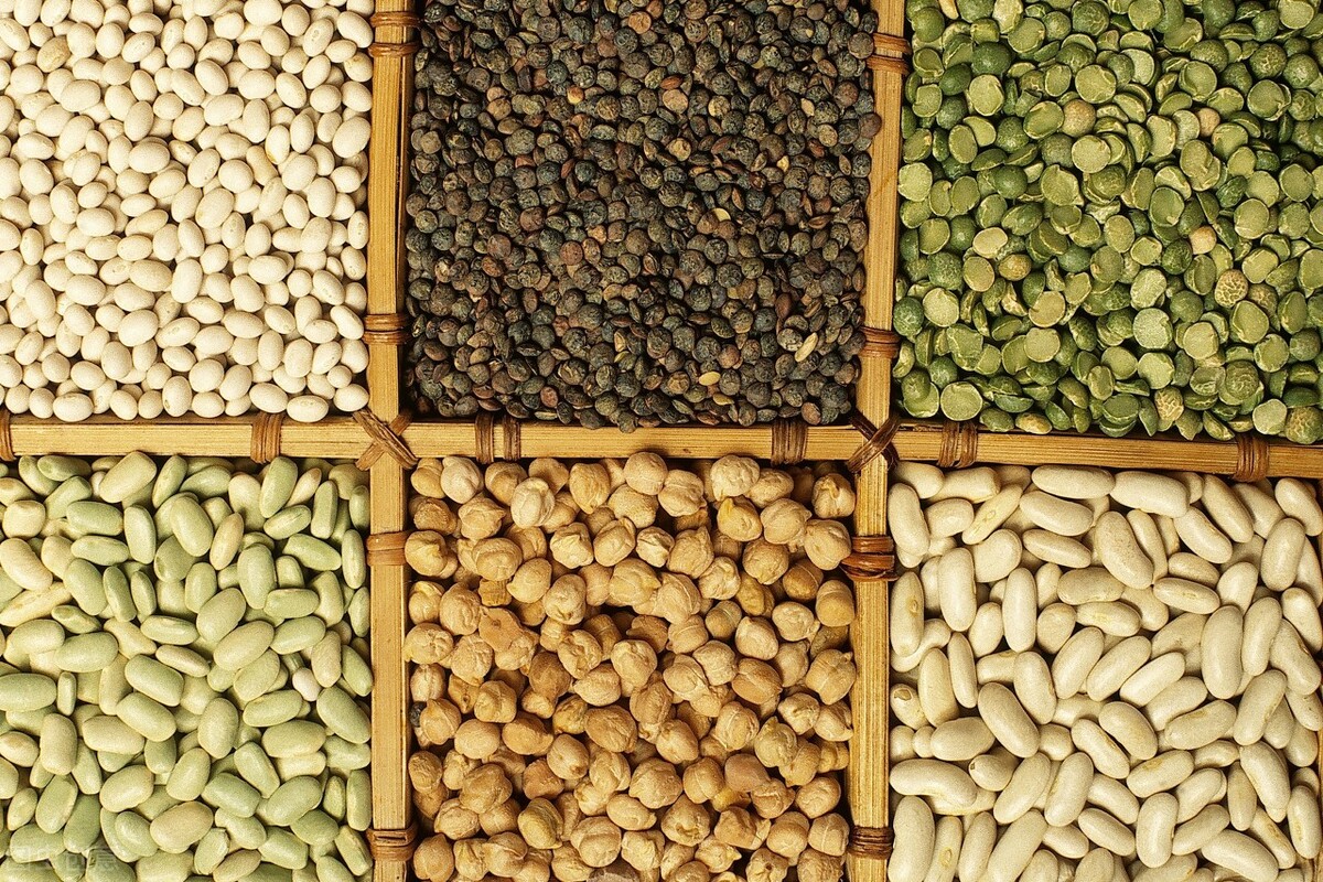 Why are beans called "the poor man's meat" a new superfood for athletes ...