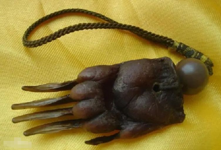 The legend of golden thread jade clothes: After the death of King Lu ...