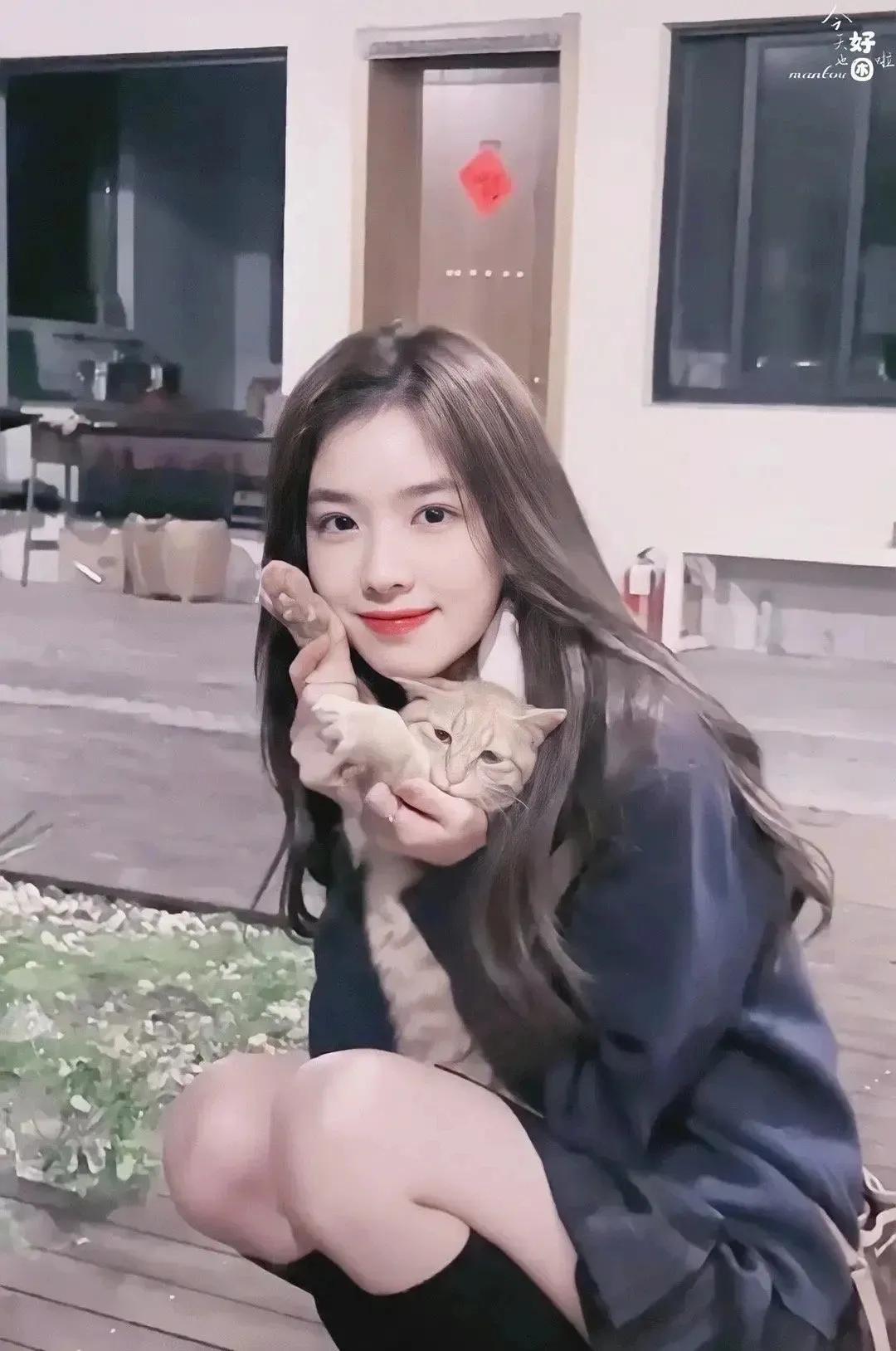 Talk about a woman like "Sun Ning": Why does she dare to attack the ...