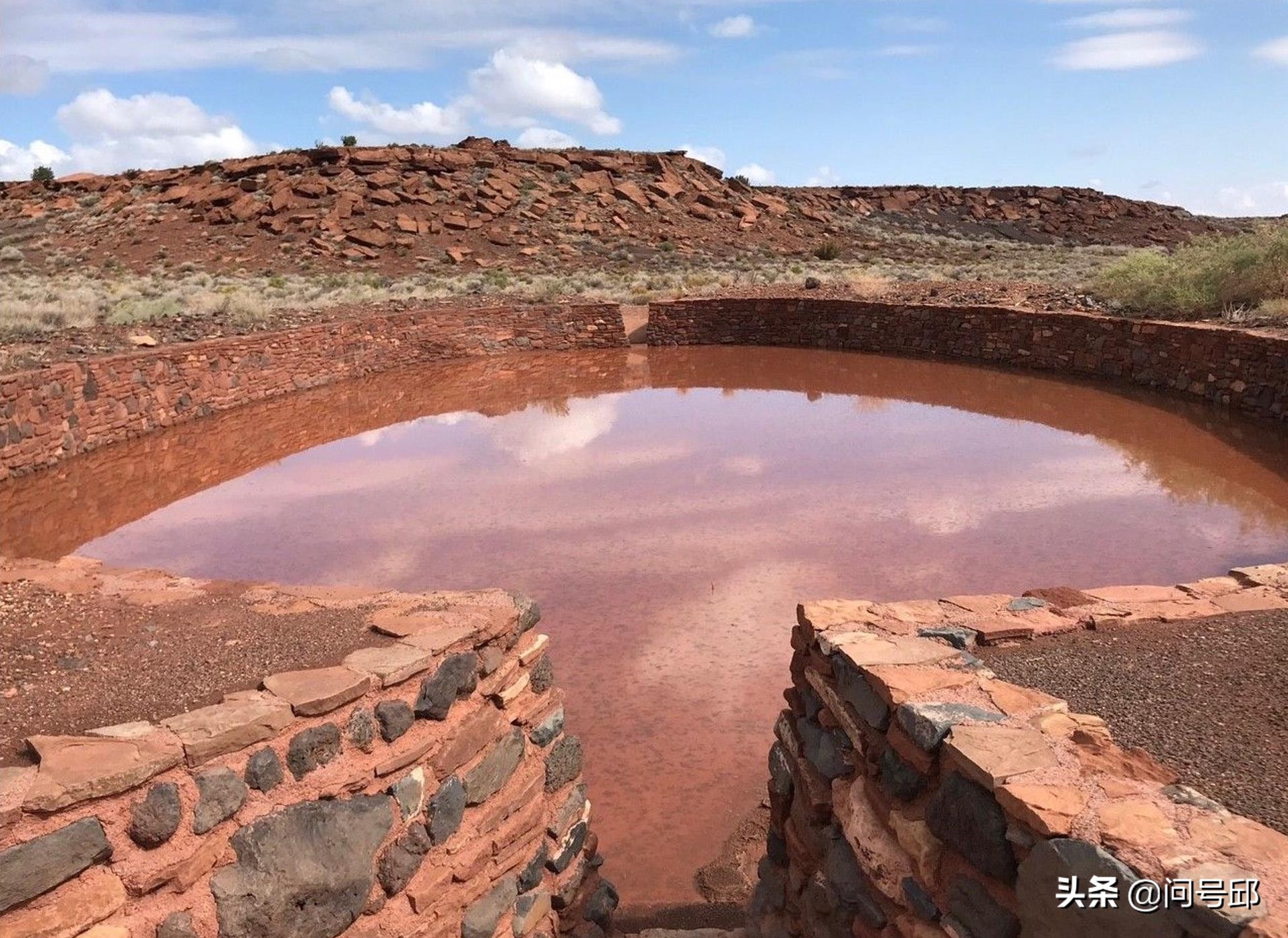 After the Arizona monsoon, hundreds of three-eyed dinosaur shrimp appeared in the stadium pond ...
