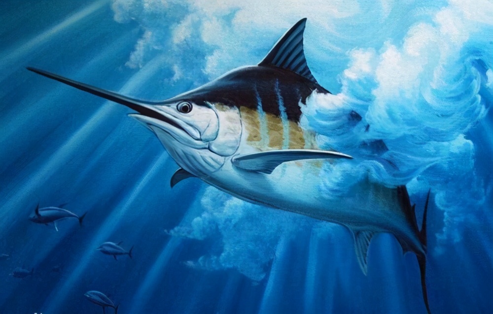 Pierce the submarine, dare to be tough with humans!How did the sailfish ...