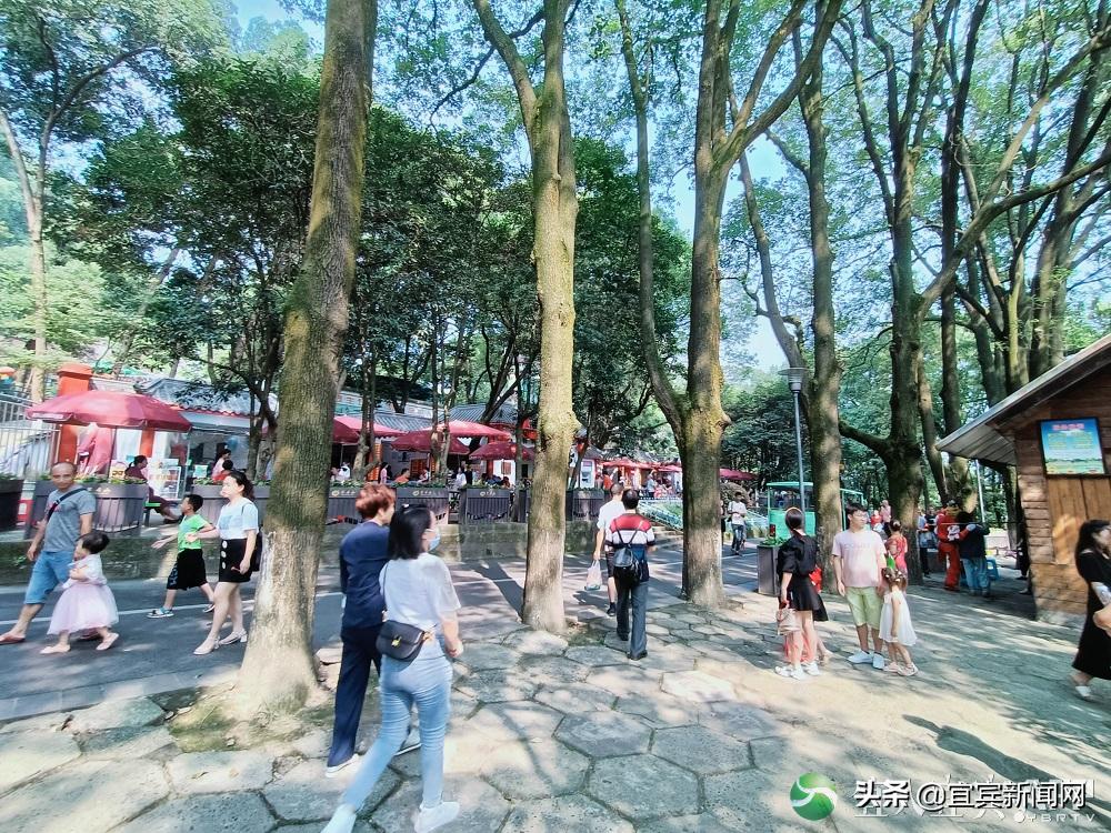 How beautiful is Cuiping Mountain in Yibin?You'll know when you come ...