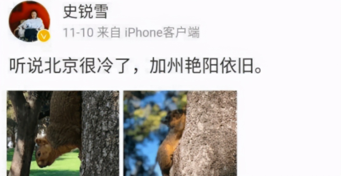 Shi Ruixue: Escaping hundreds of millions of assets and fleeing to the ...