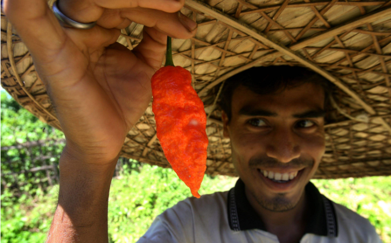 India invented the "magic" grenade, which can be eaten or fried, and ...