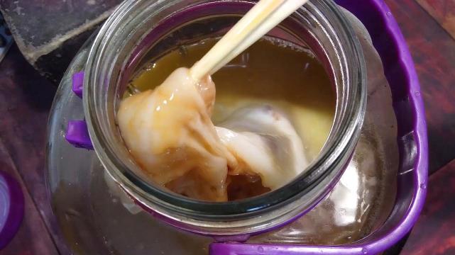 What is Tai Sui? It is not the "meat" of plants or animals. Why can it ...