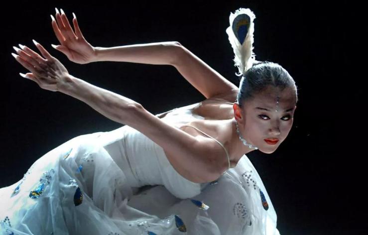 Yang Liping: No rice for 30 years, no children for 60 years, and two ...