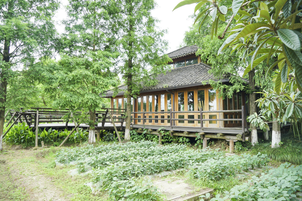 Wuzhen can still play like this. In addition to Xizha Dongzha, many ...