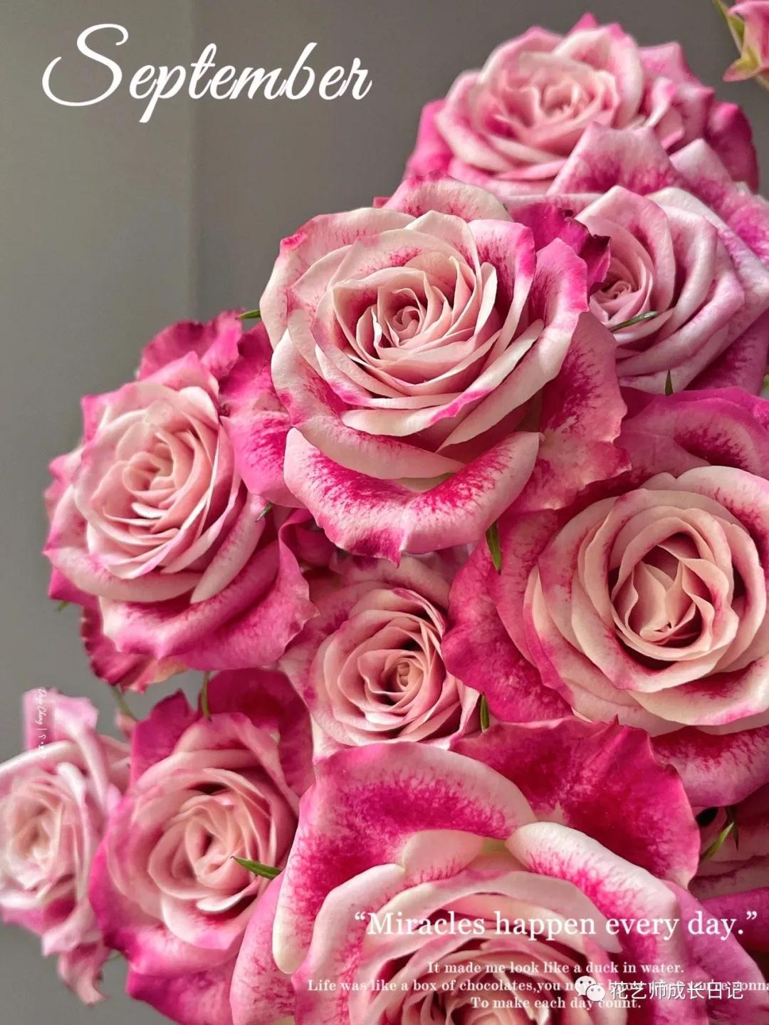 Oil painting style rose flinders lane, retro roses soaked in oil paint ...