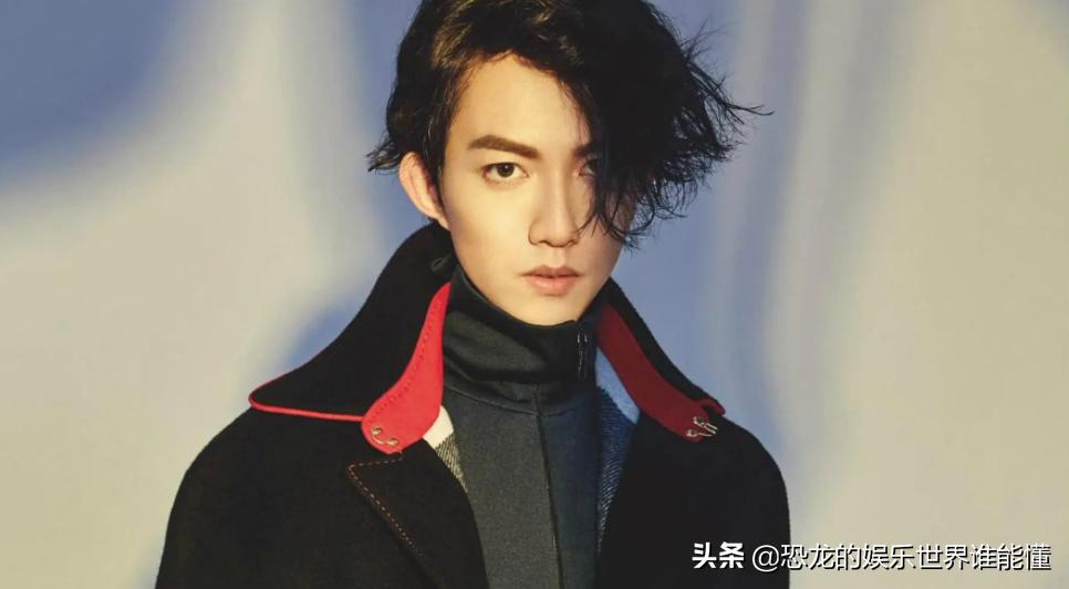 Why didn't Lin Yujia release an album and gradually shifted her focus ...