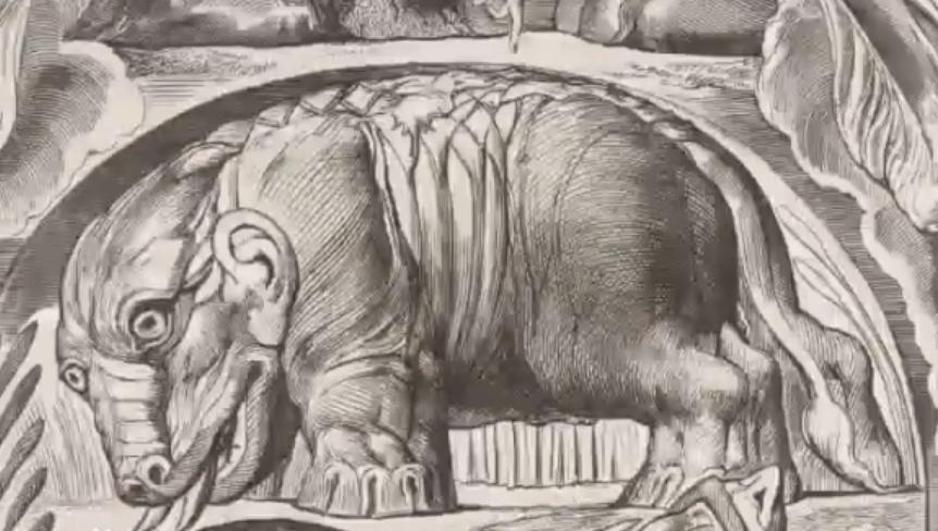 The extremely oppressive behemoth in "The Mist" is one of the seven ...