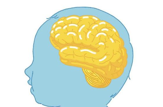 Can eating fish nourish your brain?Smart baby's standard nutrition one ...