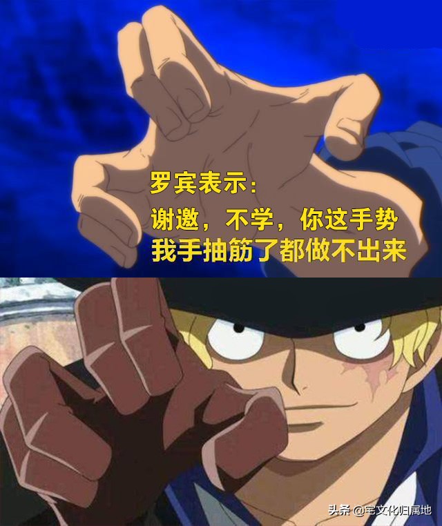 One Piece 1021 Intelligence: Robin will use Murloc Karate Sabo in his ...