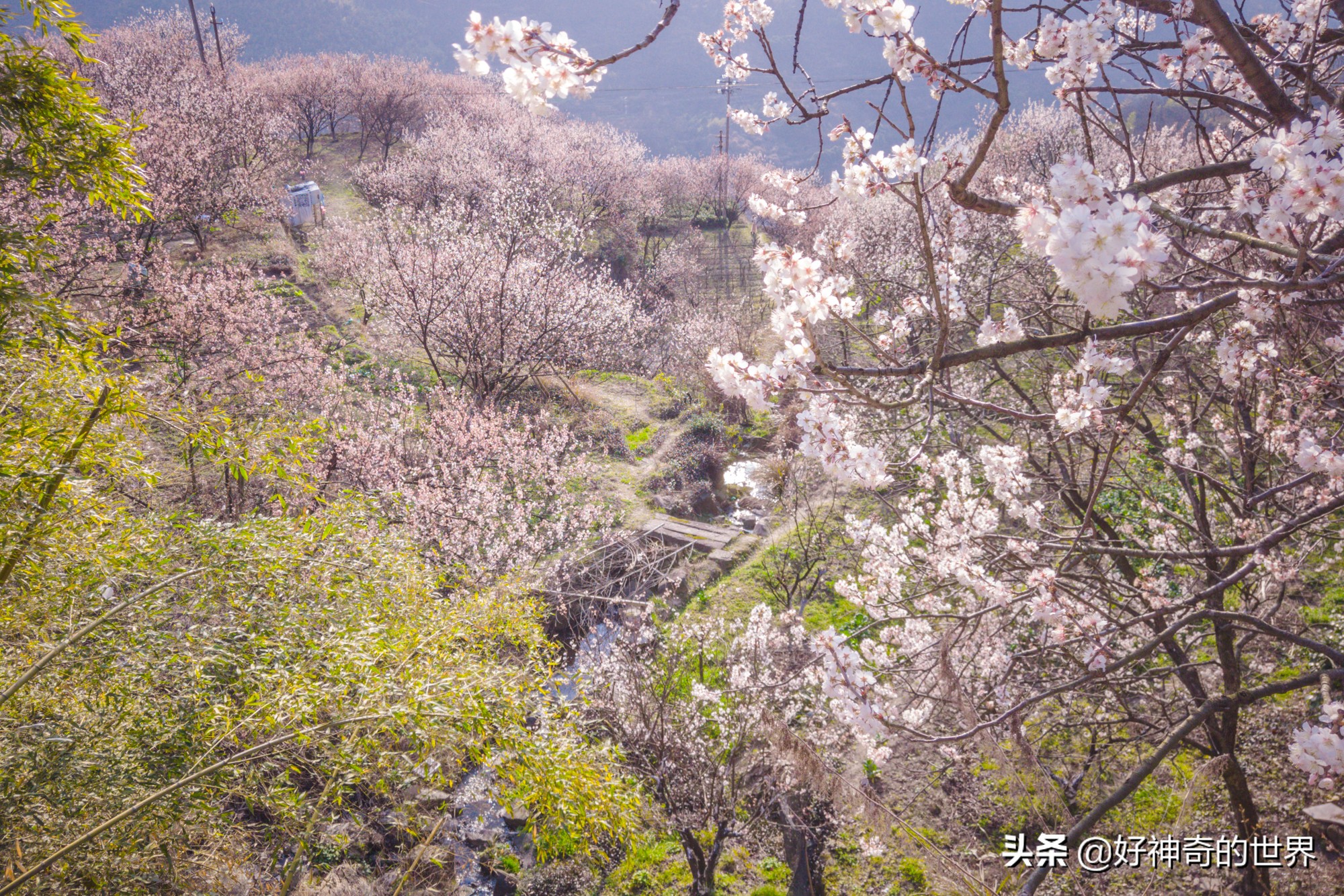The mountain village in the depths of Siming Mountain in Ningbo is ...