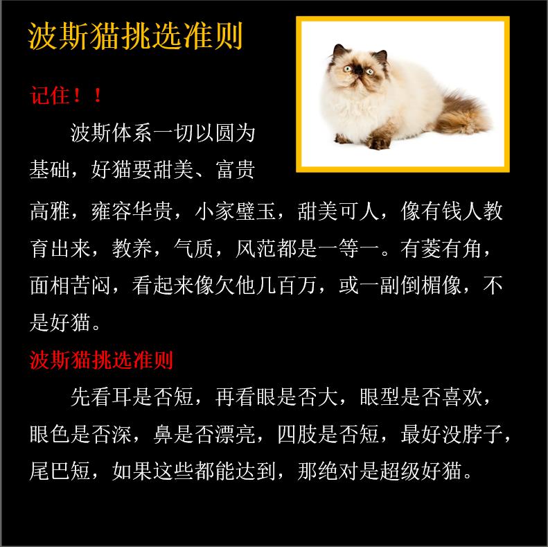 Do you know the appearance of Persian cats?Teach you how to quickly ...