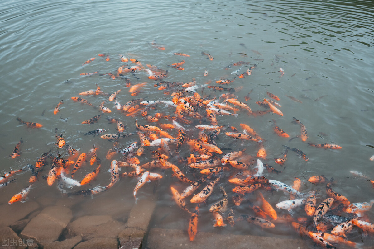 The ancient emperors all called themselves "the true dragon emperor ...