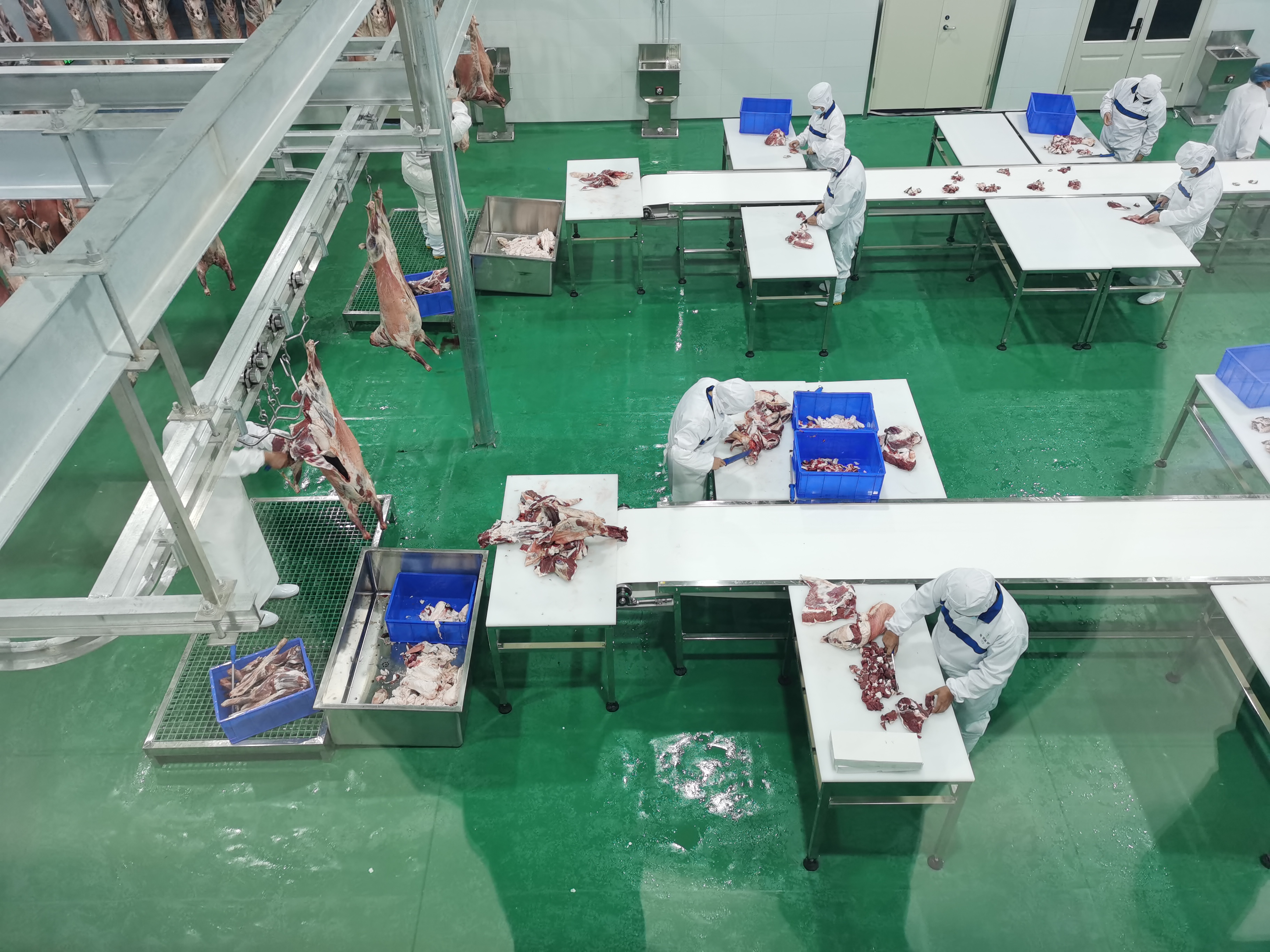 Ansai's annual production of 300,000 mutton products processing plant ...
