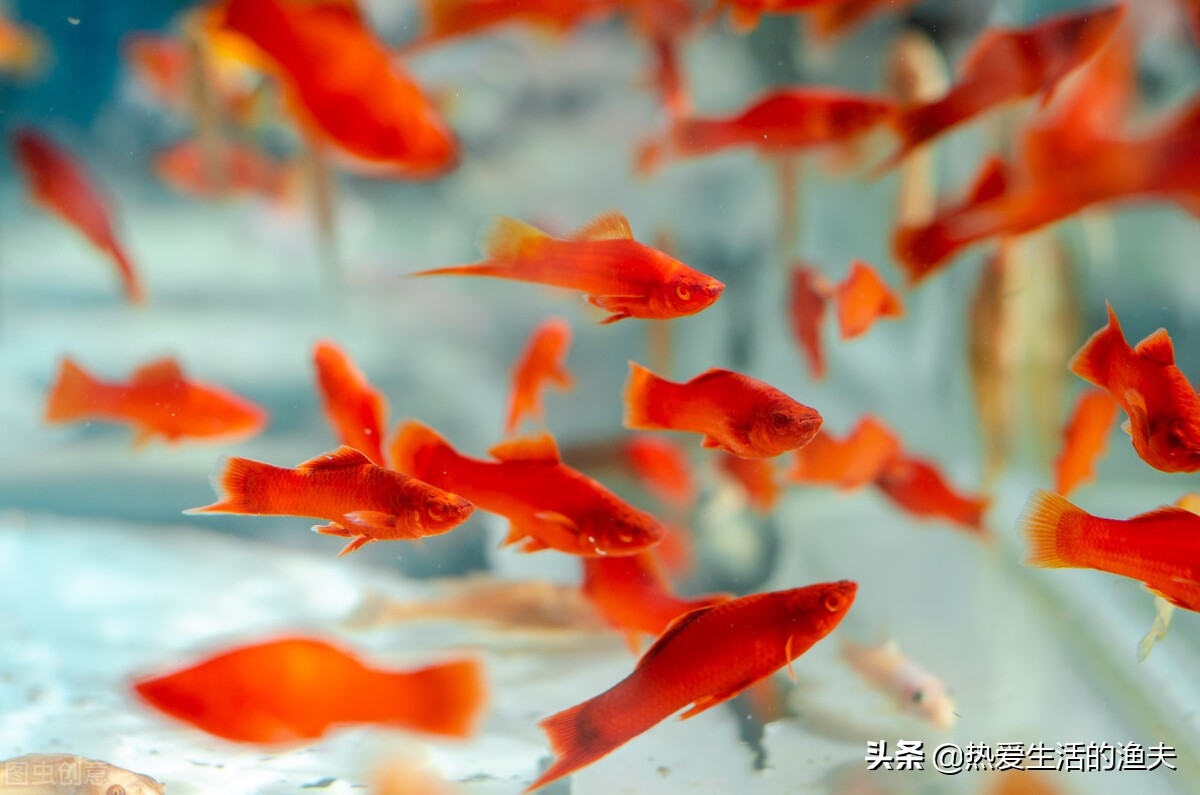 I feel that the red arrow is very fragile. After reading this article ...