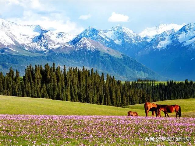 One of the top ten scenic spots in Xinjiang, ranked 5A in the country ...