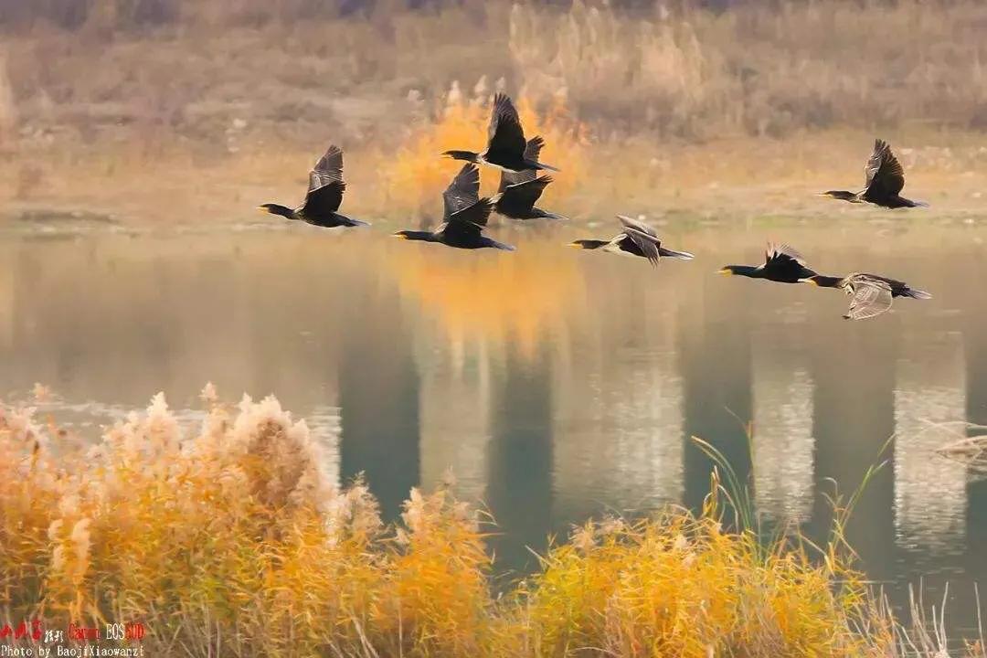 Ding Fengbo • Luhua Dang - iNEWS