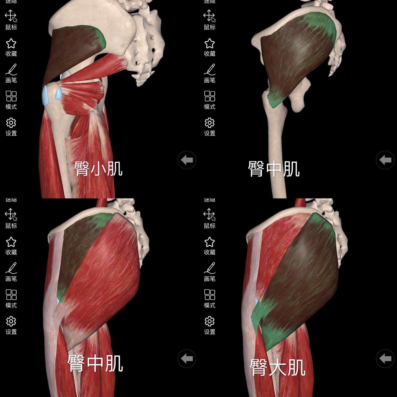 6 training methods to help you build a goddess-level "peach hip" - iNEWS