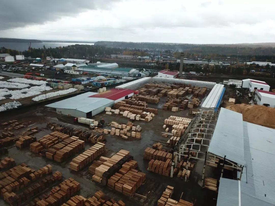 It's hard to find a tree!Britain is suffering from timber winter - iNEWS