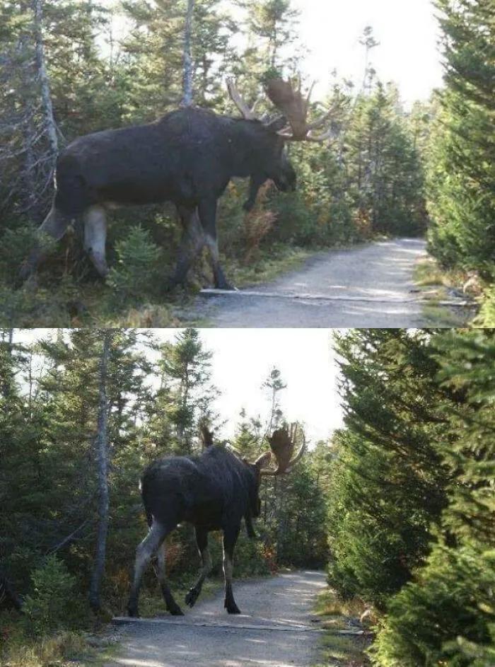 After reading these 29 pictures, the giant phobia has attacked... - iMedia