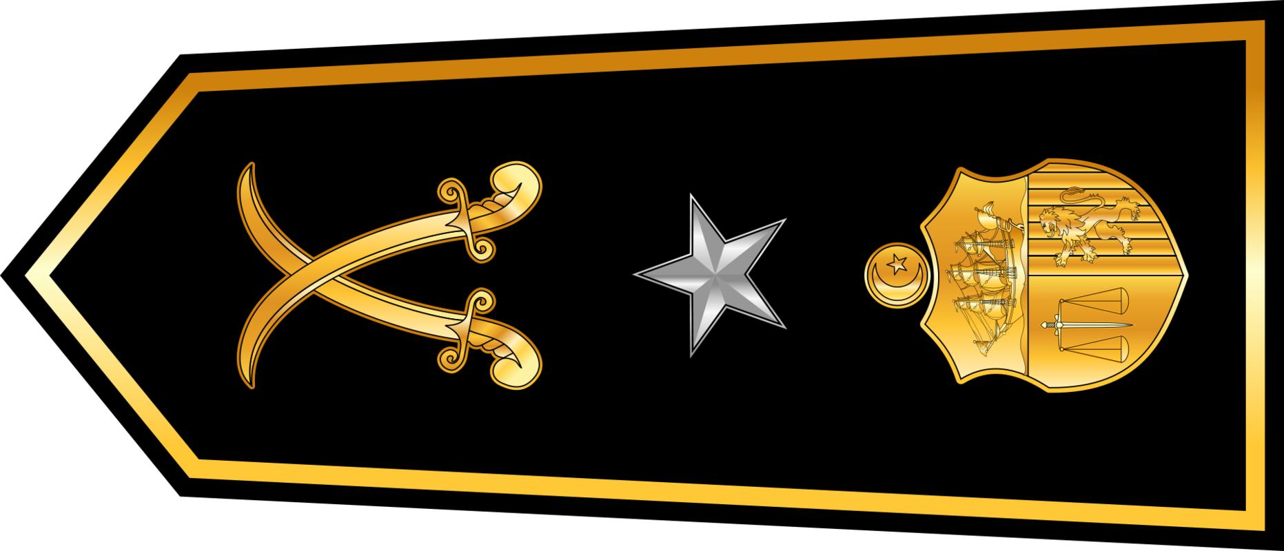 Military rank identification of each country: Tunisia - iNEWS