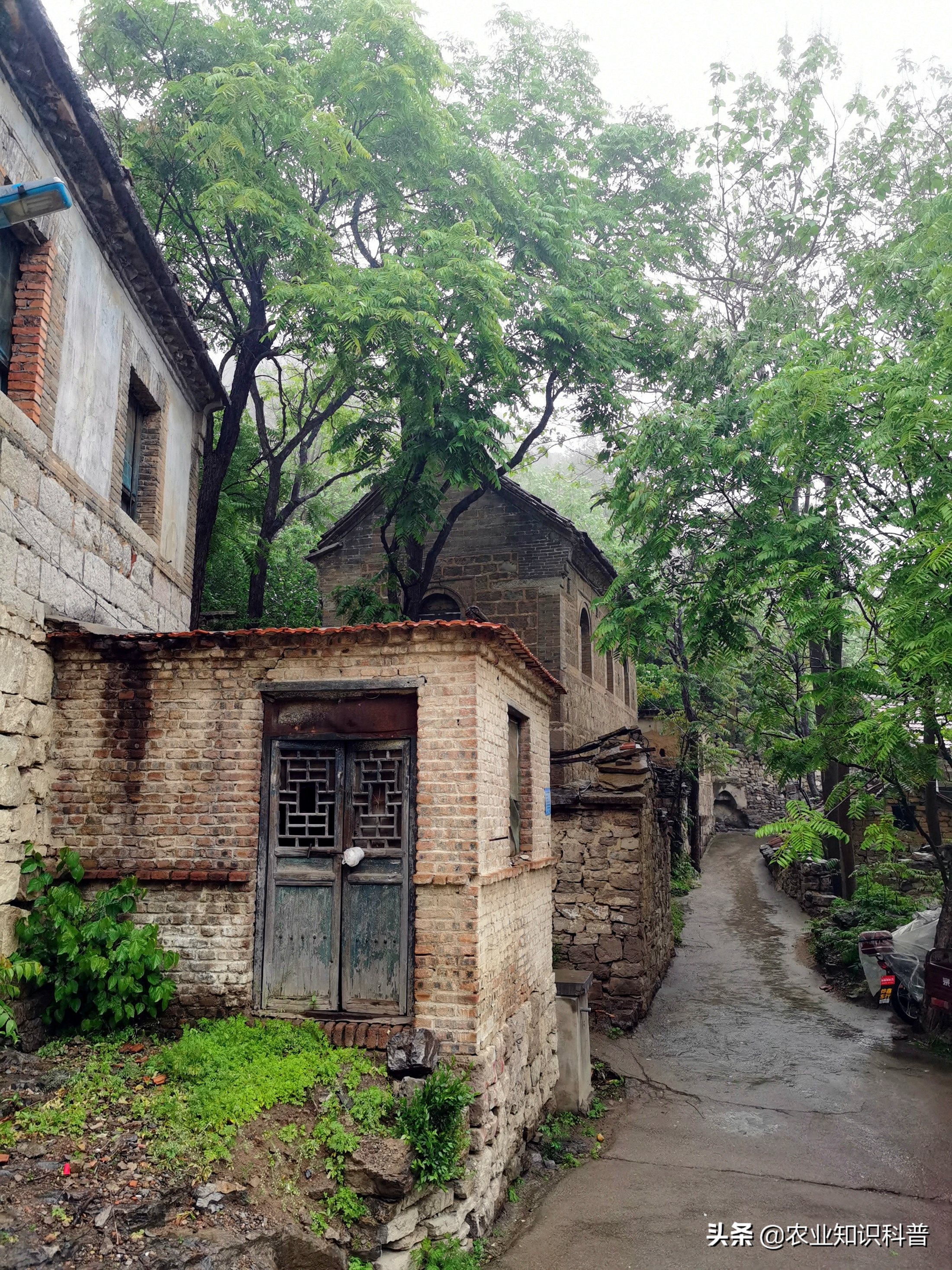 Chinese Village: Beishansi Village in the deep mountains of Zibo ...