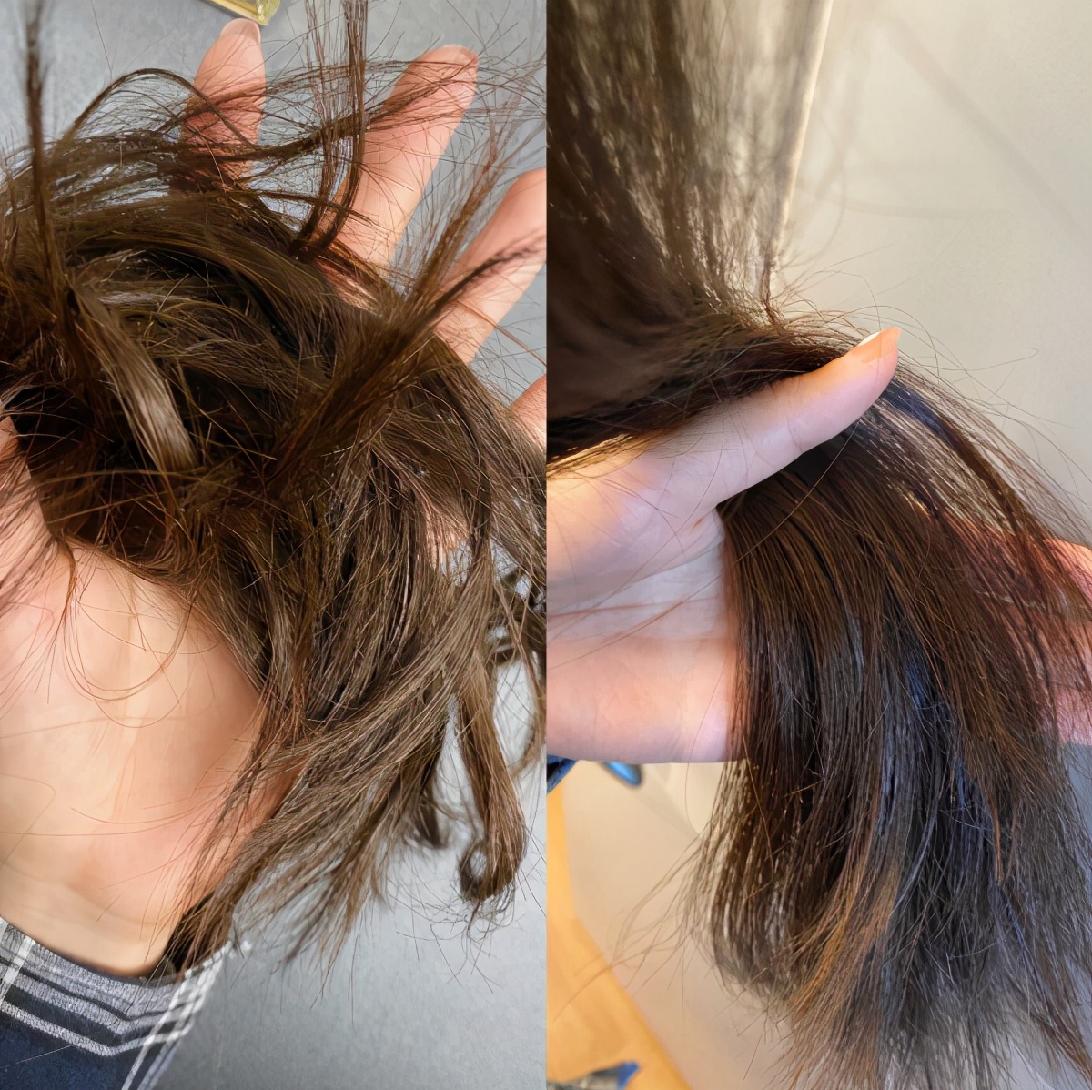 Here is the secret of FORVIL Windsor Forest Black Truffle Care Series ...