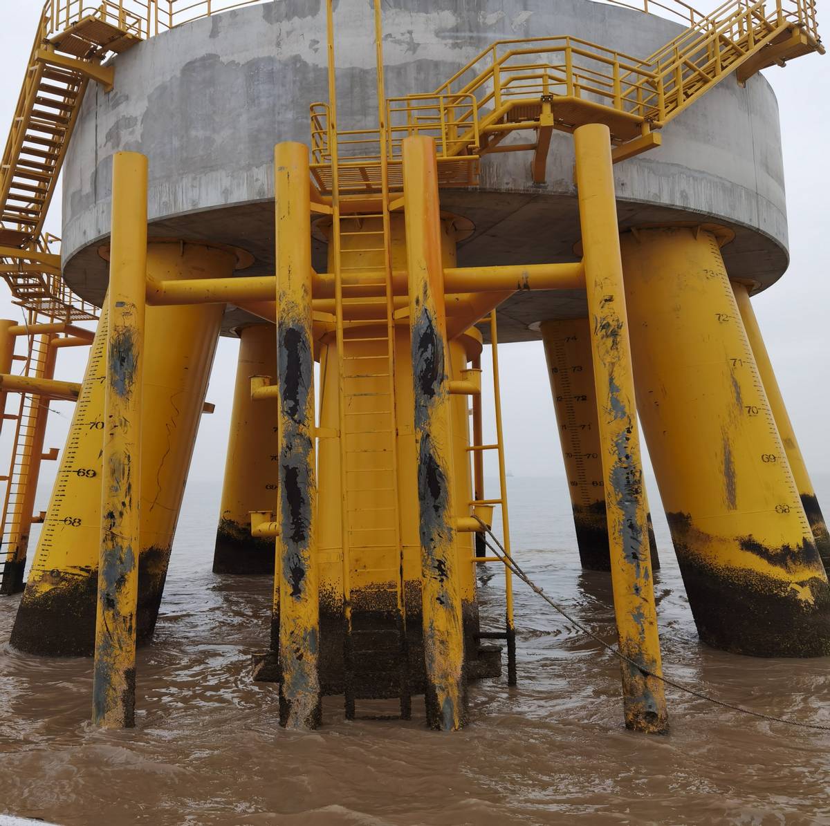 Hou Baorong: the warrior who domesticated the "iron-eating monster" - iNEWS