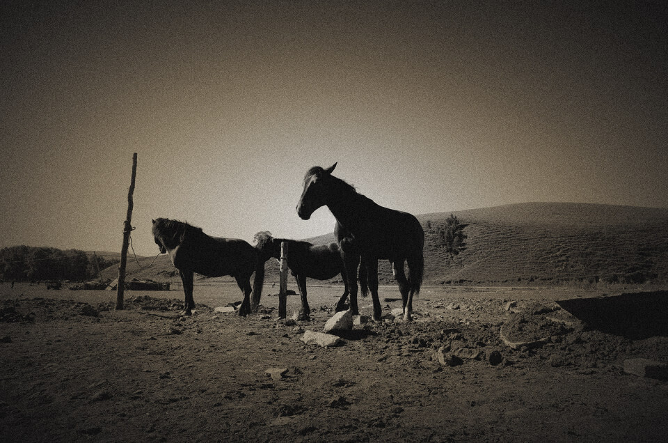 Camus' Philosophical Essay "The Myth of Sisyphus": Facing the absurd ...