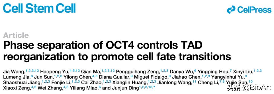 Phase separation can promote cell fate transition by regulating the ...